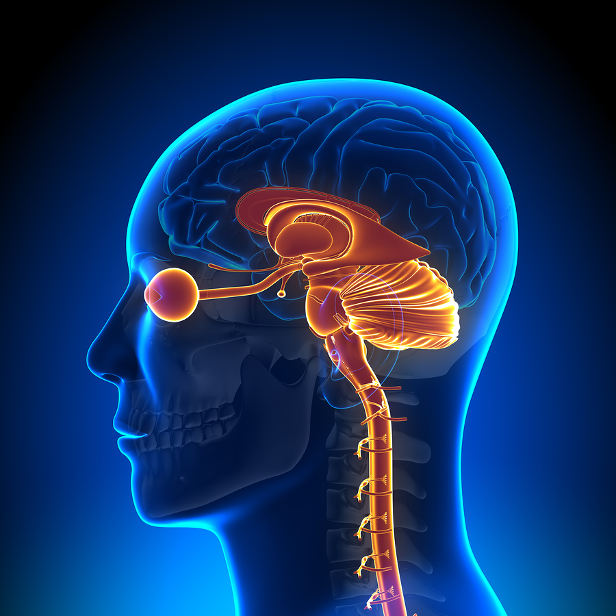 How Does Expectation Affect Perception