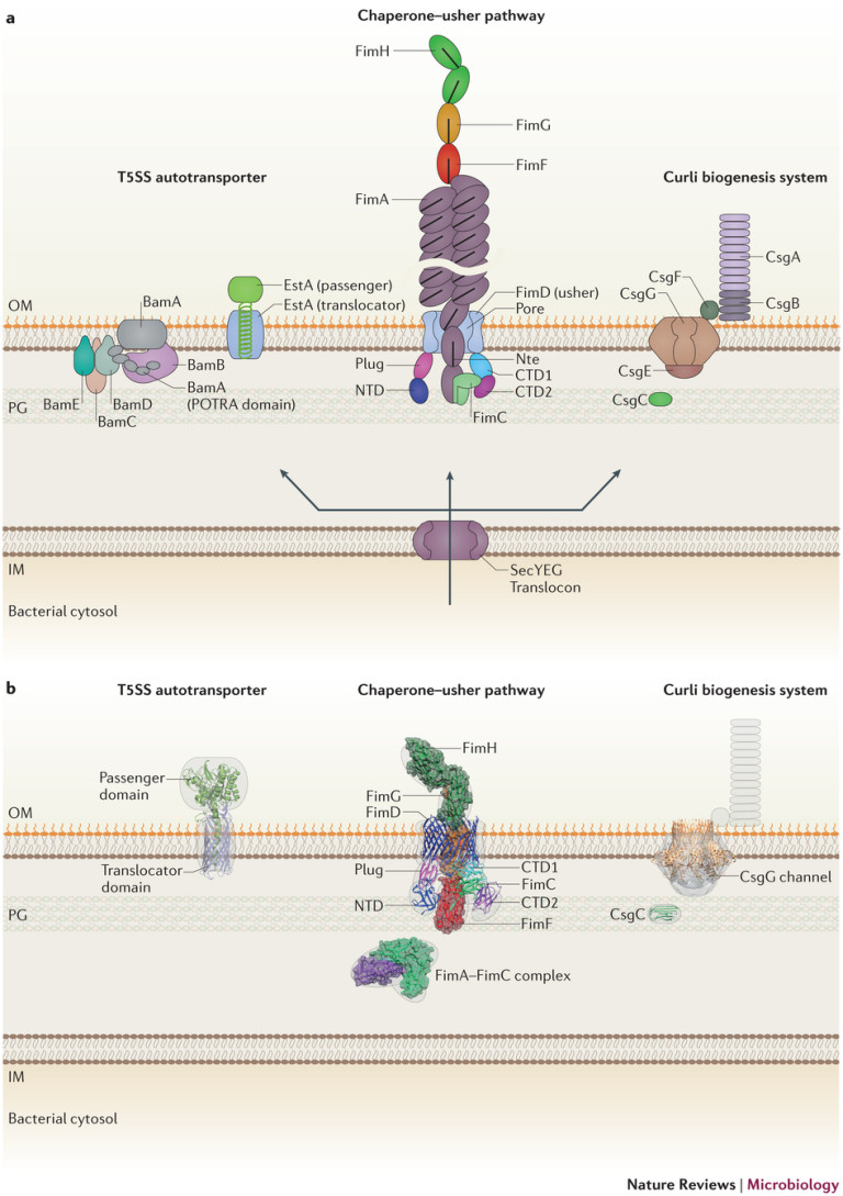 Intelligent Microbe Secretory Weapons