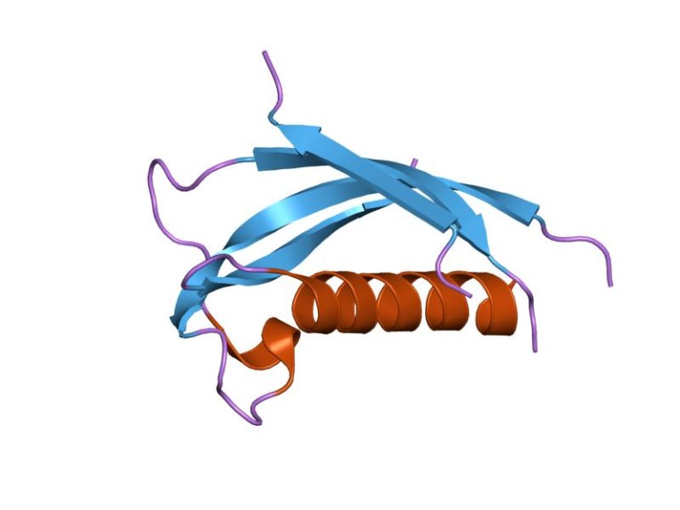 Vital Immune Communication with Peptides