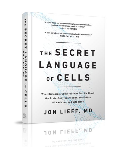 Human Brain – Jon Lieff, MD